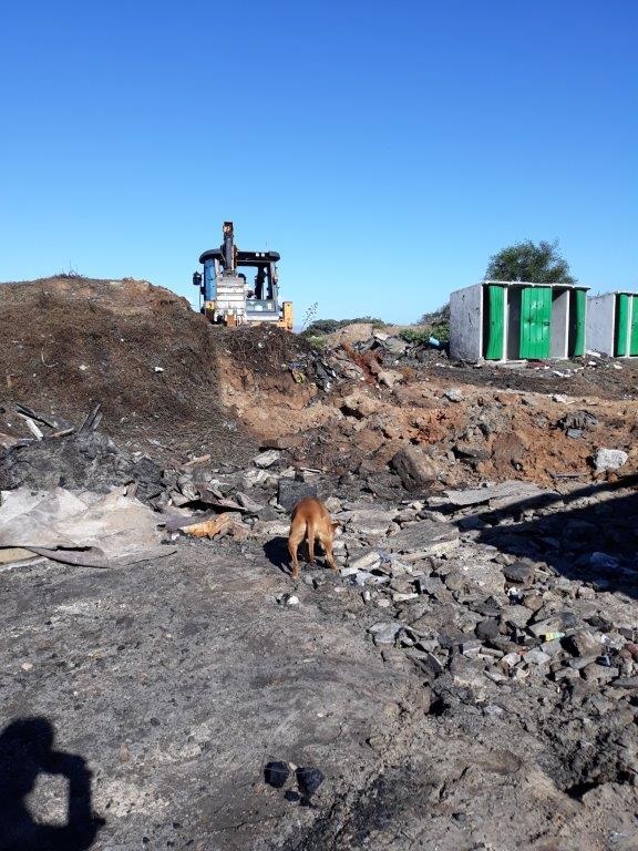 'I buried him on the spot he would sit barking at people' - CPT fire ...