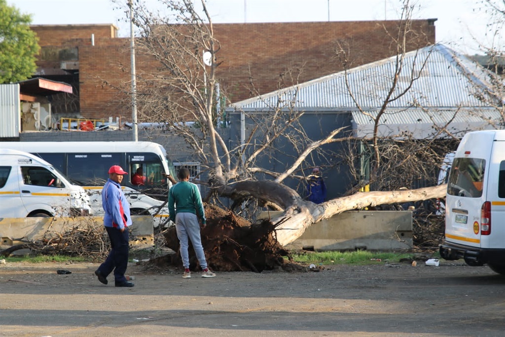 PICS: Severe thunderstorm leaves destruction! | Daily Sun