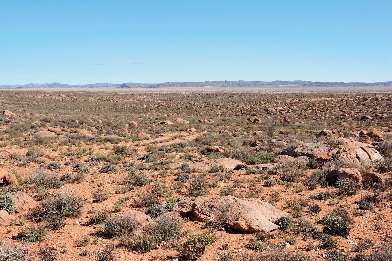 Goeie veldbestuur nou belangriker as ooit | Landbou