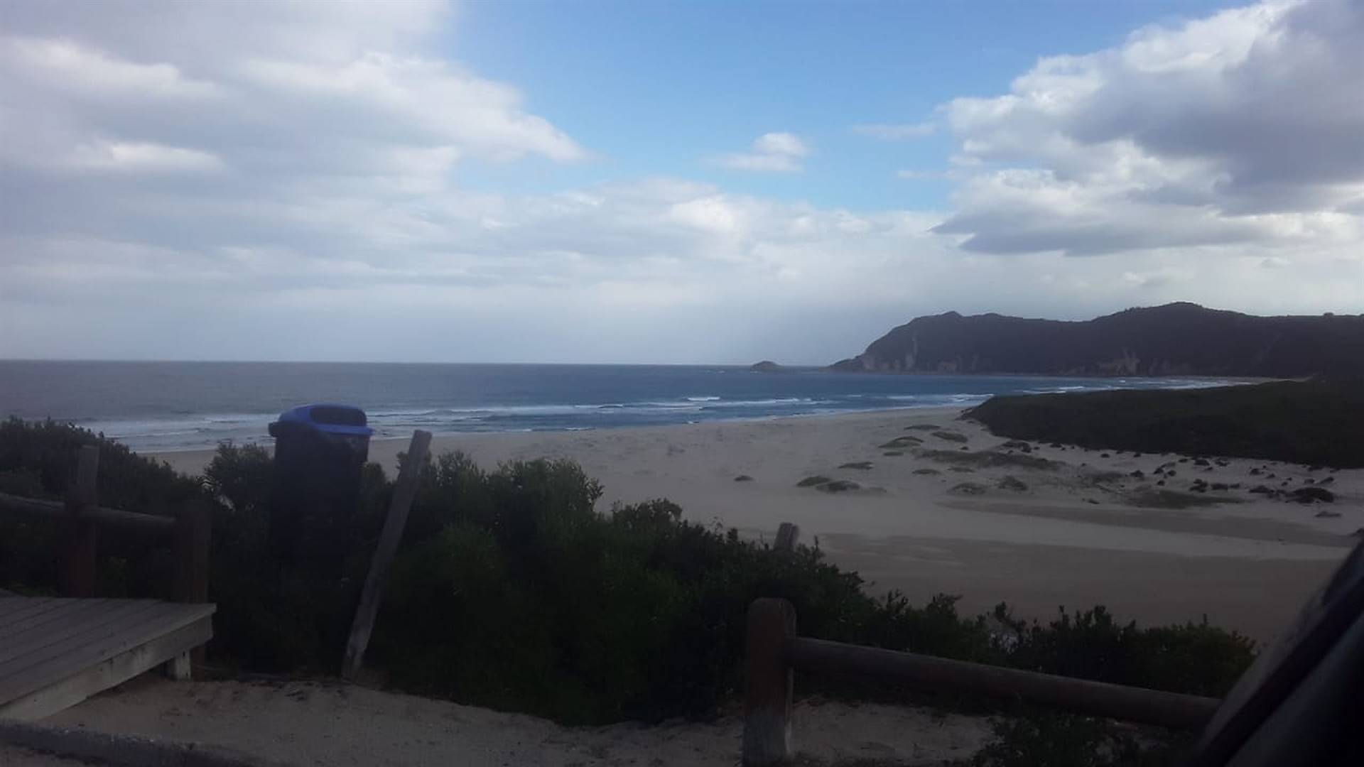 Sterk wind waai bome in Suid-Kaap om | Netwerk24