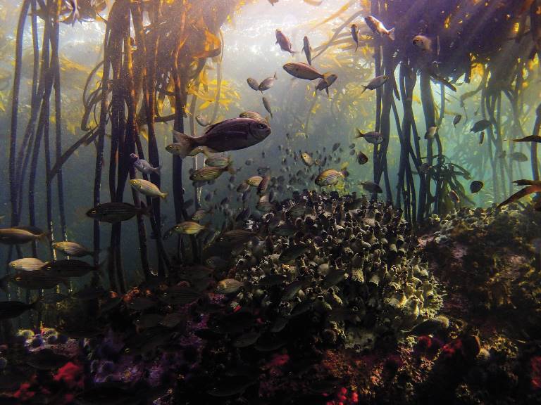 Ontsnap na Kaapse waters | Netwerk24