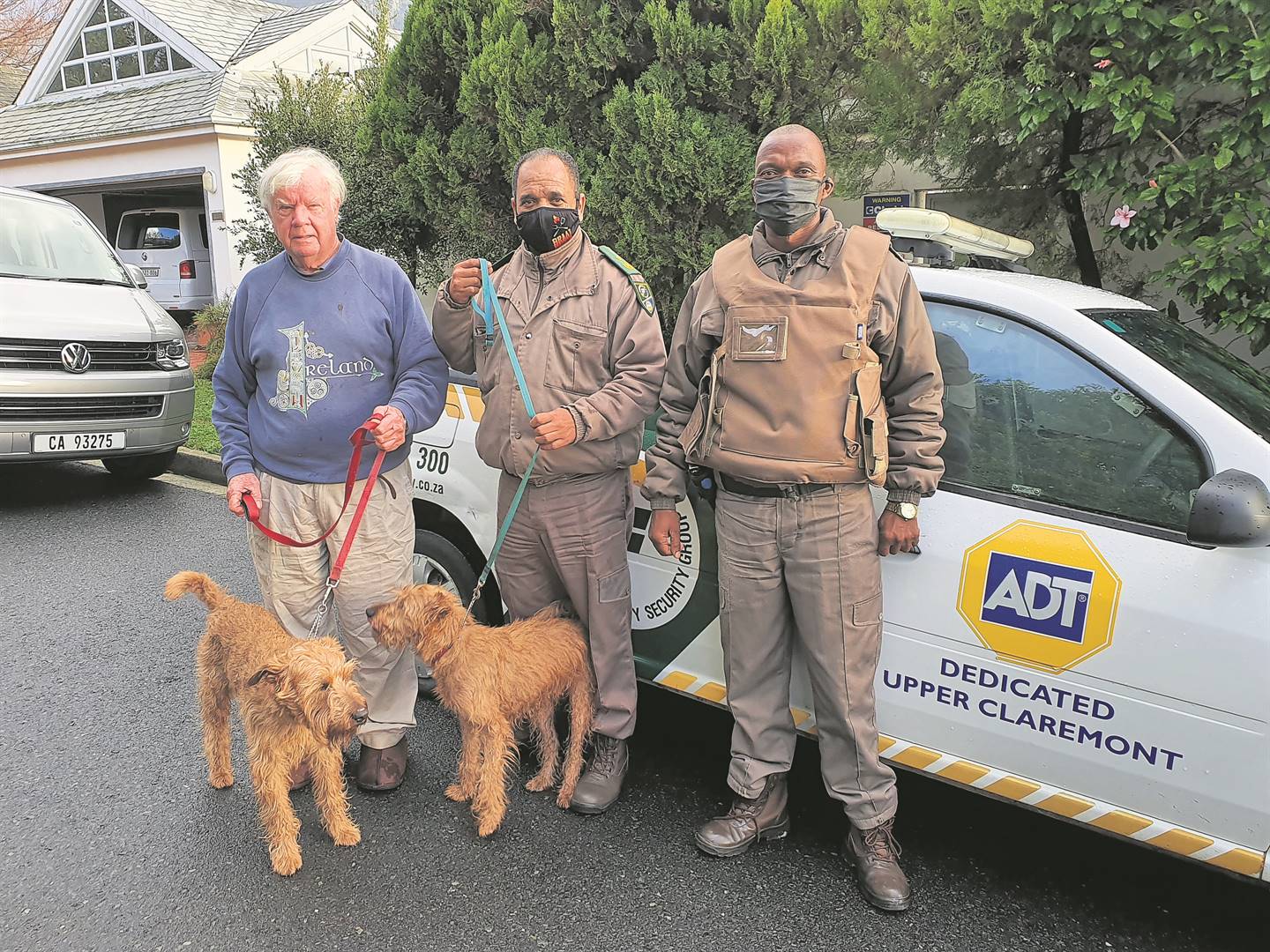 Dogs returned home, safe and sound | News24