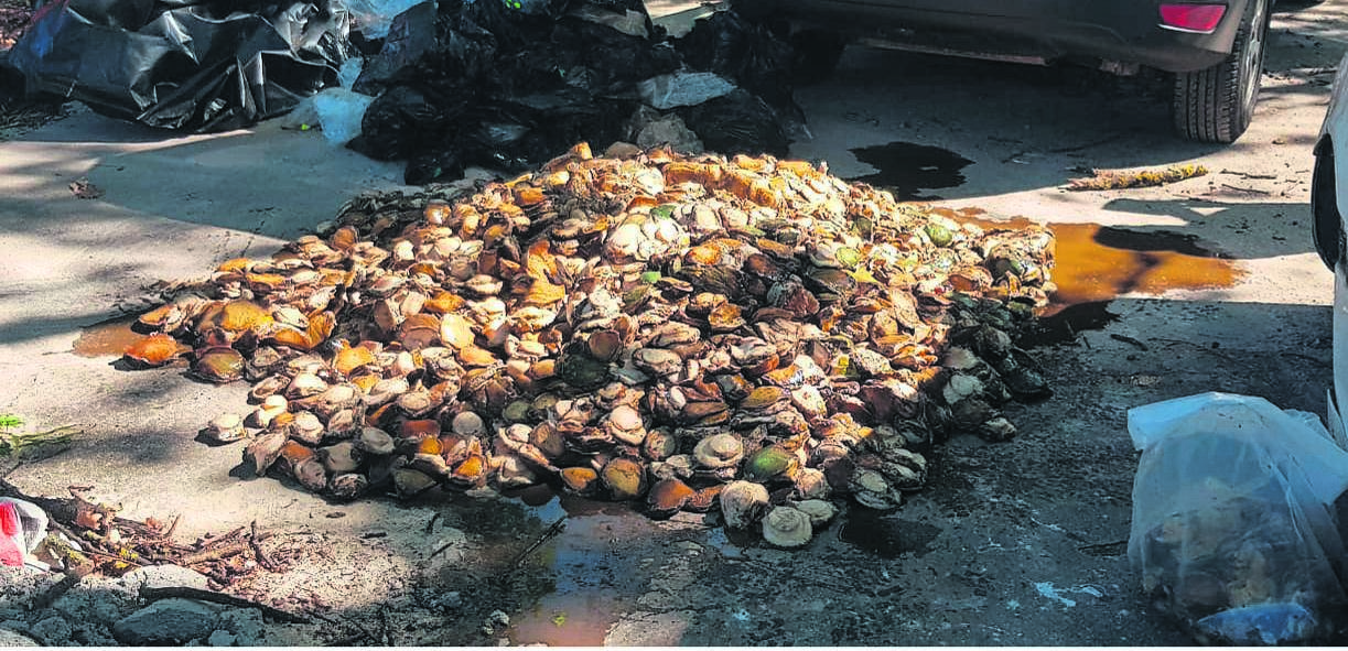 Abalone, cash confiscated | Netwerk24