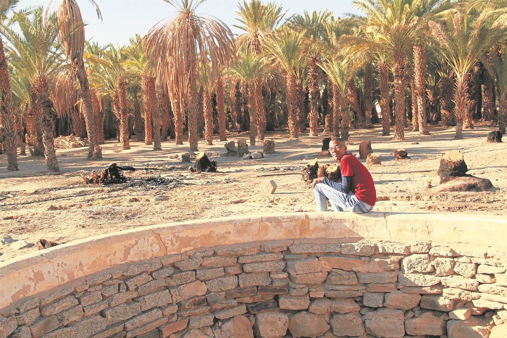 Drome ontspring uit die dorre aarde | Netwerk24