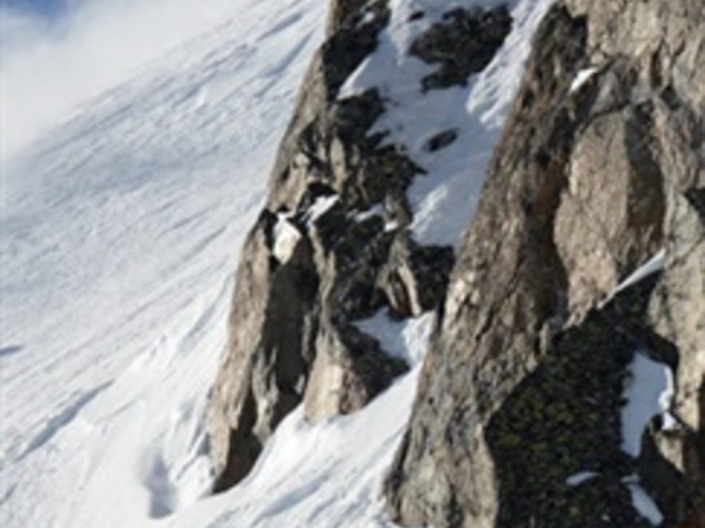 Thousands of trapped sheep rescued after shock French Alps snowstorm ...