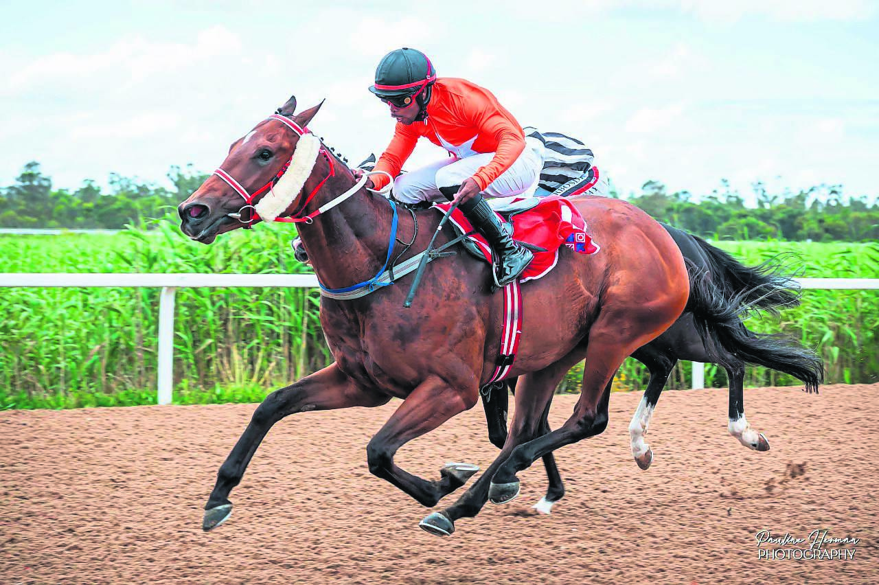 Turf track races on the cards this Friday | News24