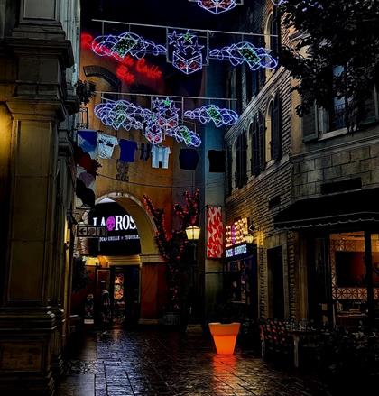 PICS: Christmas bug bites Joburg | Daily Sun