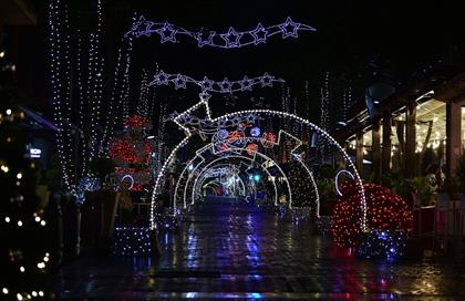 PICS: Christmas bug bites Joburg | Daily Sun