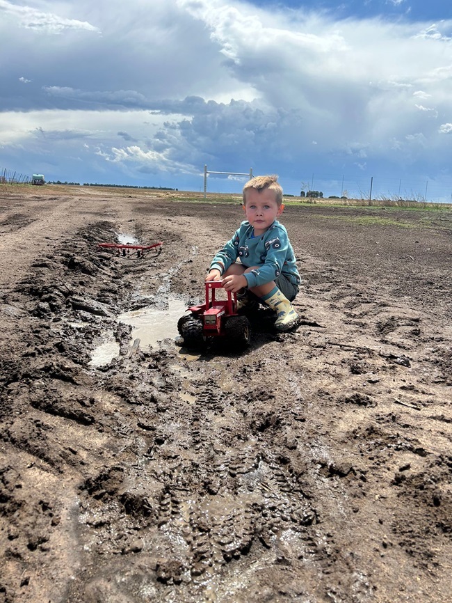 Westelike saaigebied haal weer asem ná reën | Landbou