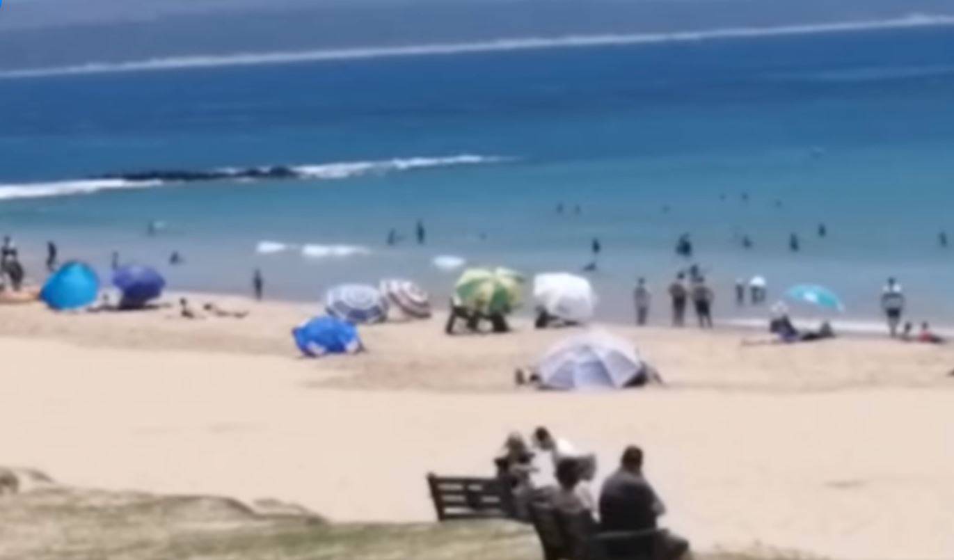 KYK: Mense baljaar op Mosselbaaise strand | Netwerk24