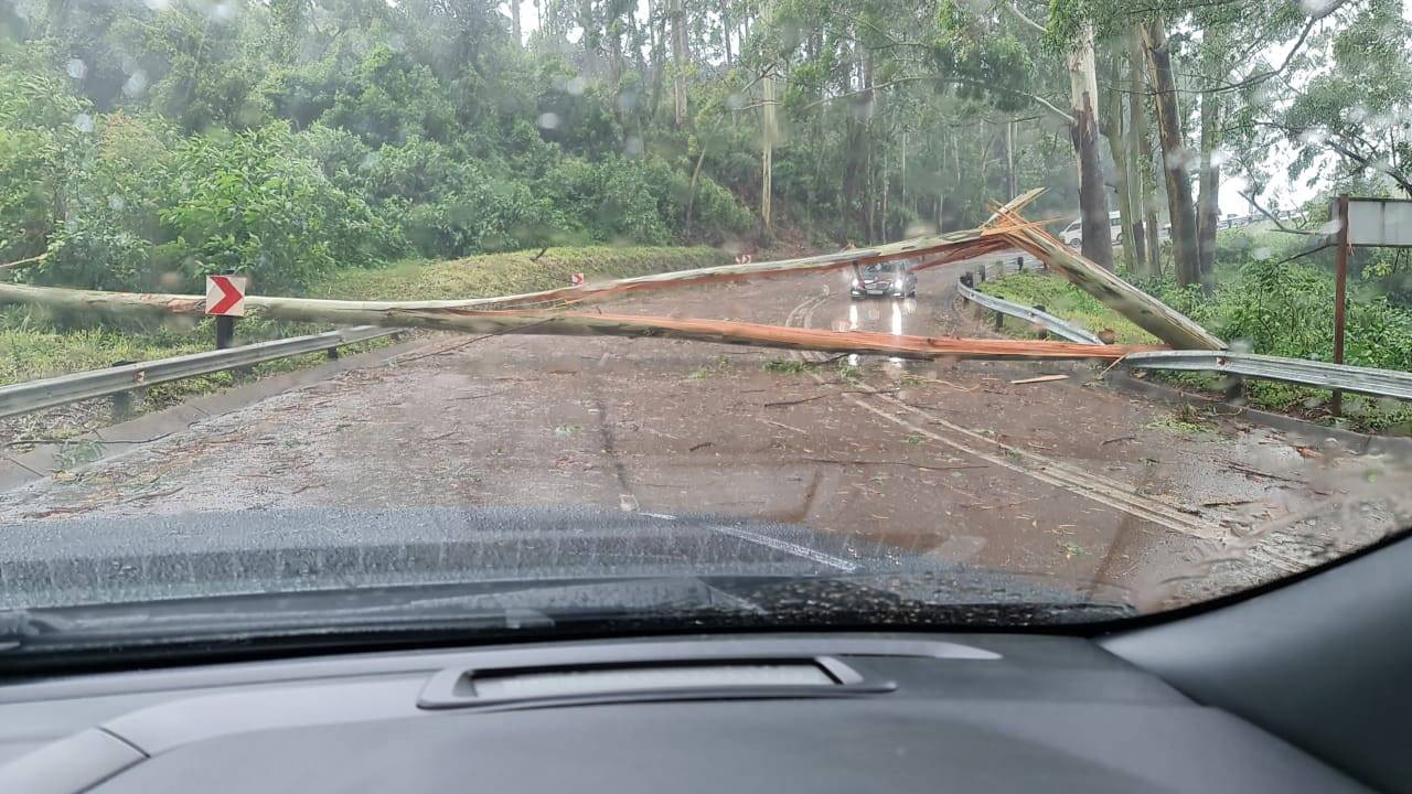 PICS: TROPICAL STORM ELOISE WREAKS HAVOC IN LIMPOPO | Daily Sun