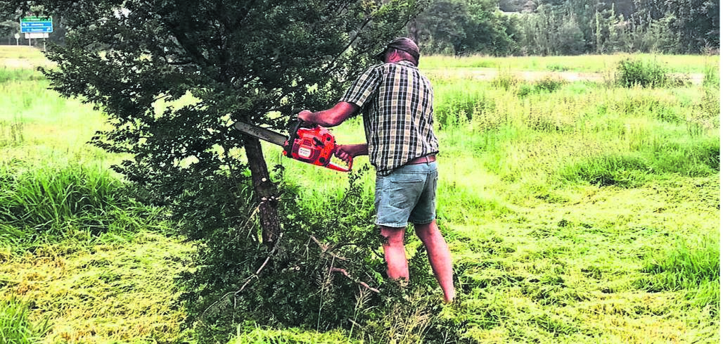 (Saam)werk vir netjiese dorp voortgesit | Netwerk24