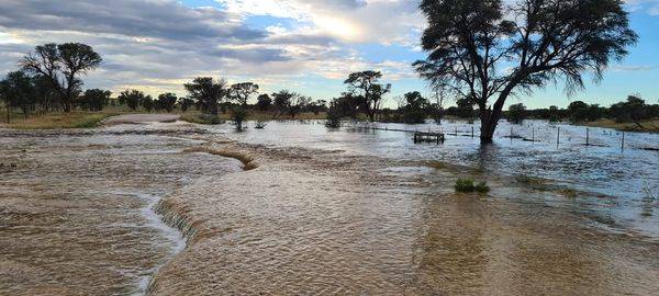 Kurumanrivier byna-byna in Askham | Netwerk24