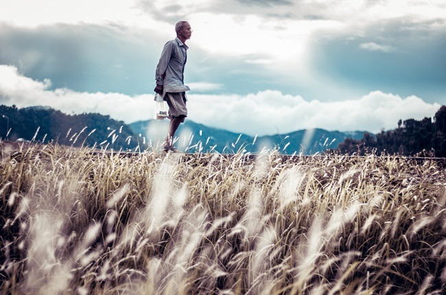 Walking patterns of elderly patients can be used to diagnose dementia ...