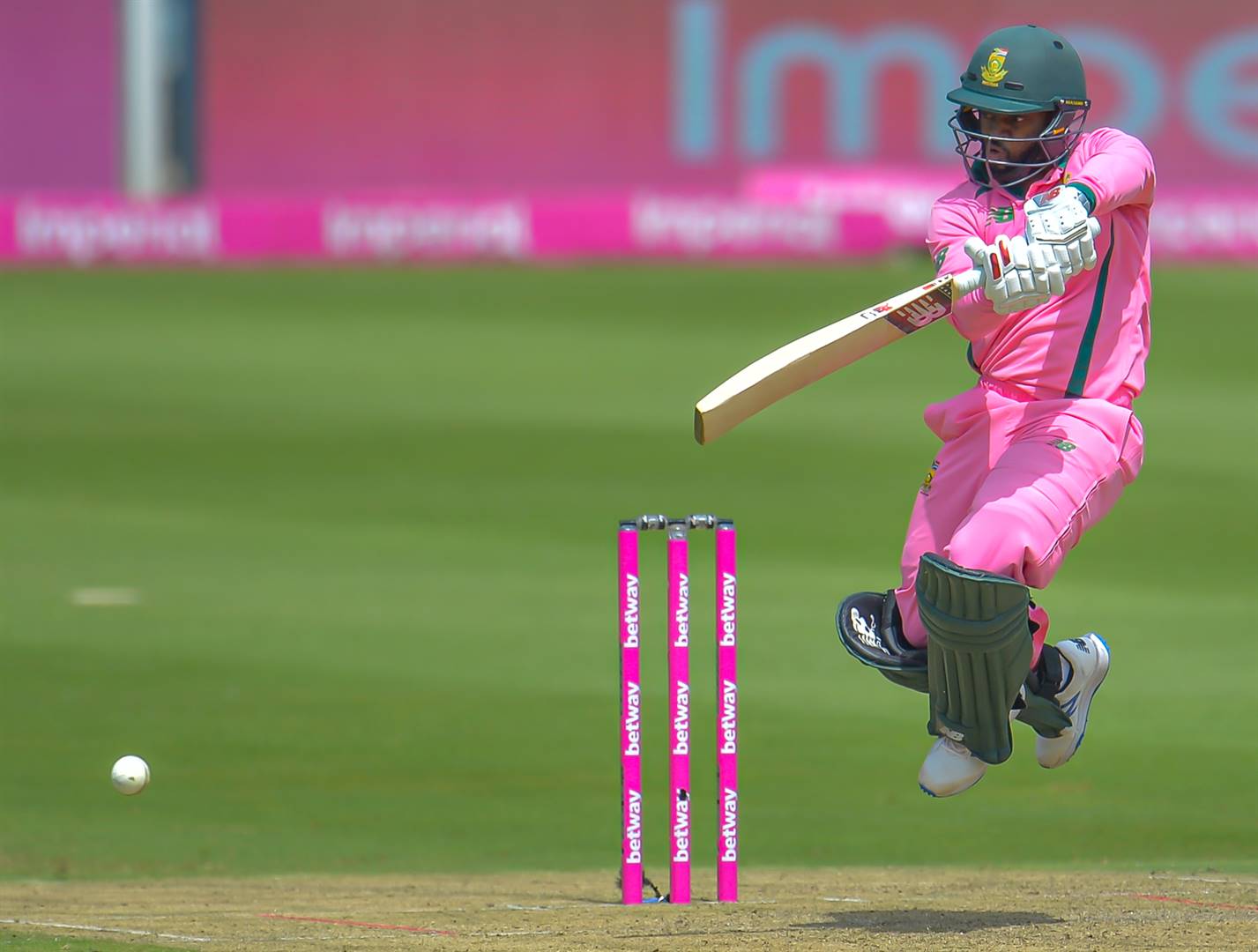 Protea-kopseer: Hoe gemaak sonder IPL-5? | Netwerk24
