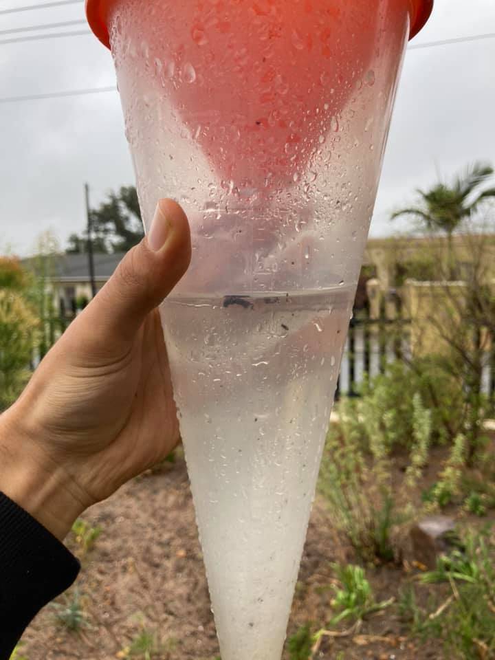Stormweer sny kragtoevoer af in Helderberg | Netwerk24