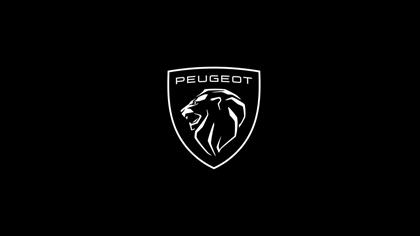 SEE | Here's why these automakers have rebranded their badges | News24