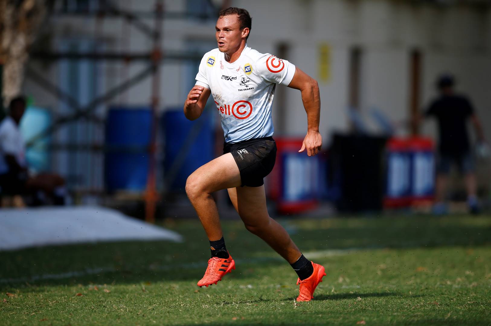 Curwin Bosch terug om WP te pak | Netwerk24