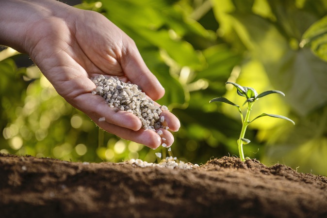 Polysulphate: ’n unieke natuurlike kunsmis vir aartappels en groente ...