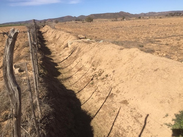 Droogte: Boere in Klein Karoo vra rampverklaring | Landbou