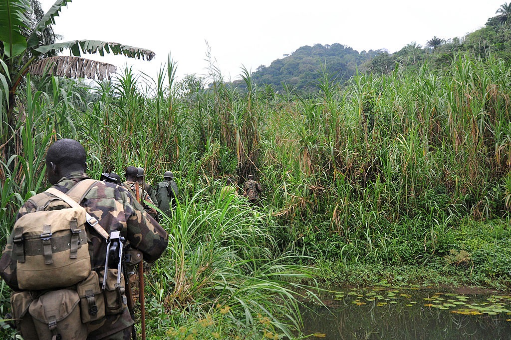 19 civilians killed in DR Congo by Islamic State-linked militants | News24