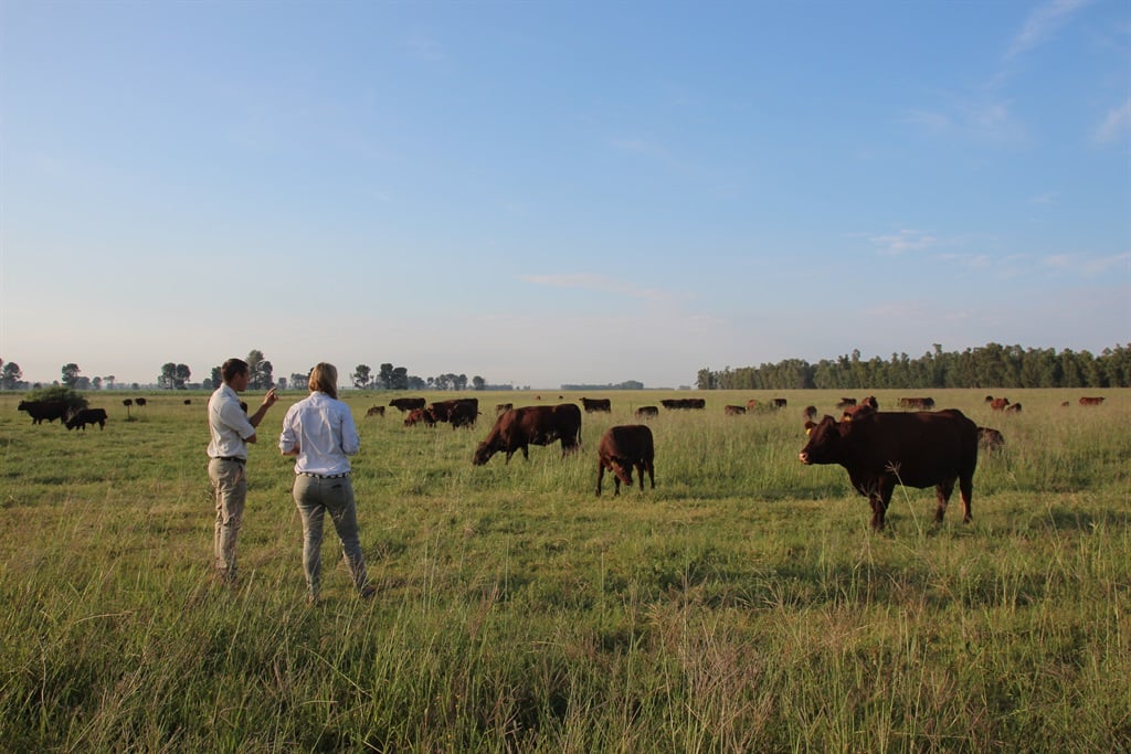 In die voetspore van reuse | Landbou