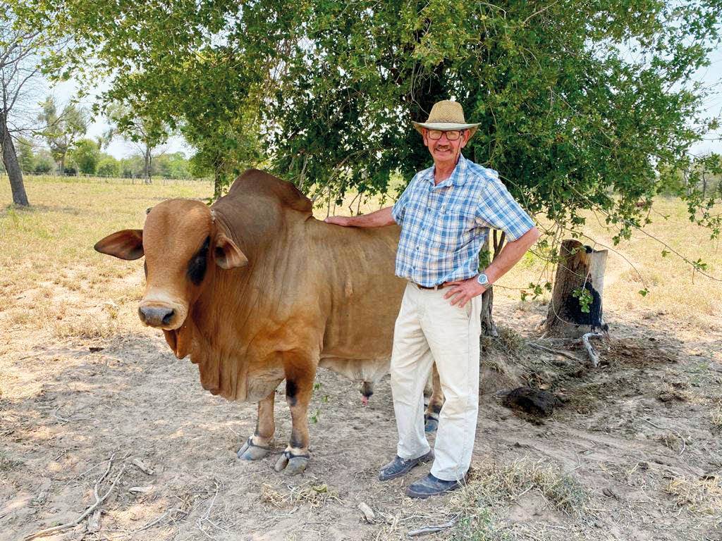 Maravillosa! Vrystater boer vooruit in Paraguay | Landbou