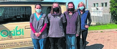 Rabies drive in Kouga a roaring success | News24