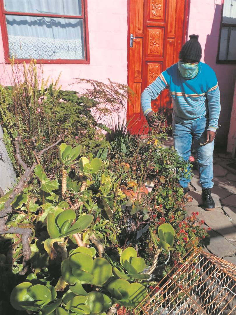 IZANGOMA LOVE MY MUTHI FLOWERS! | Daily Sun