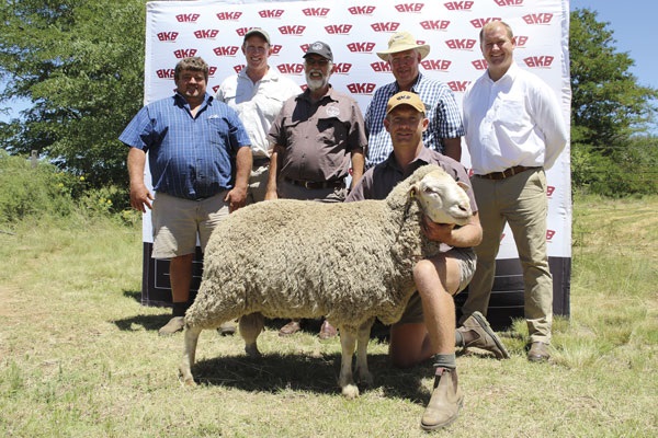 Stoetery bied poenskop- én horing-ramme aan | Landbou