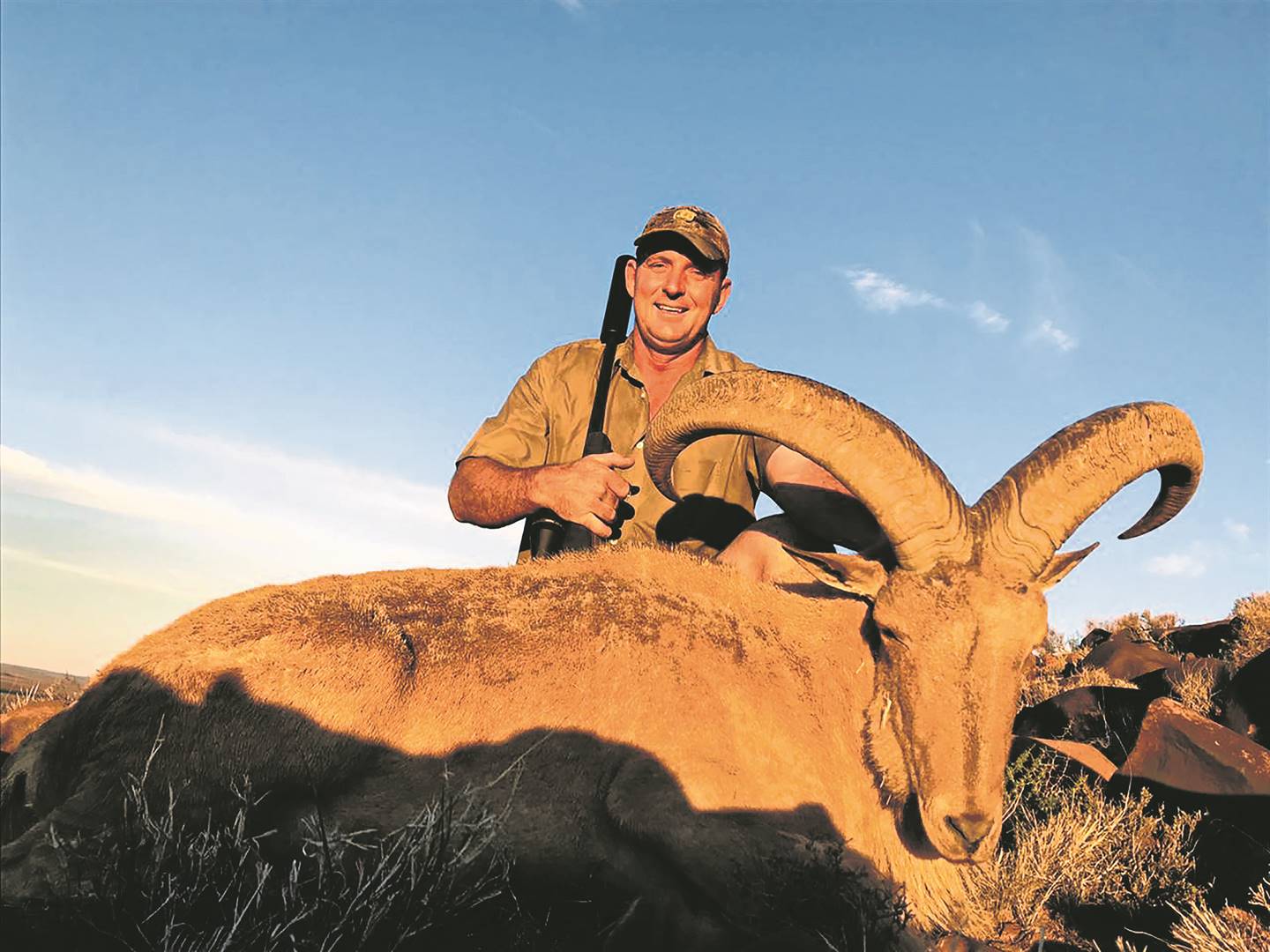 R20 000 om skaap te jag in die Karoo | Netwerk24