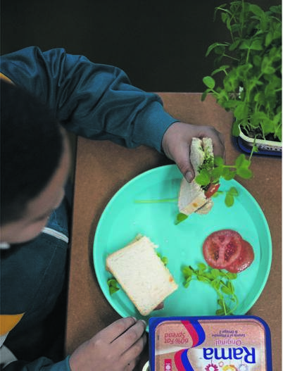 Fostering green mindsets | Netwerk24