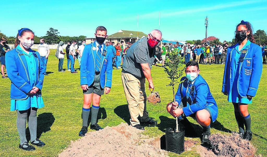 School helps maintain green environment by planting trees | News24