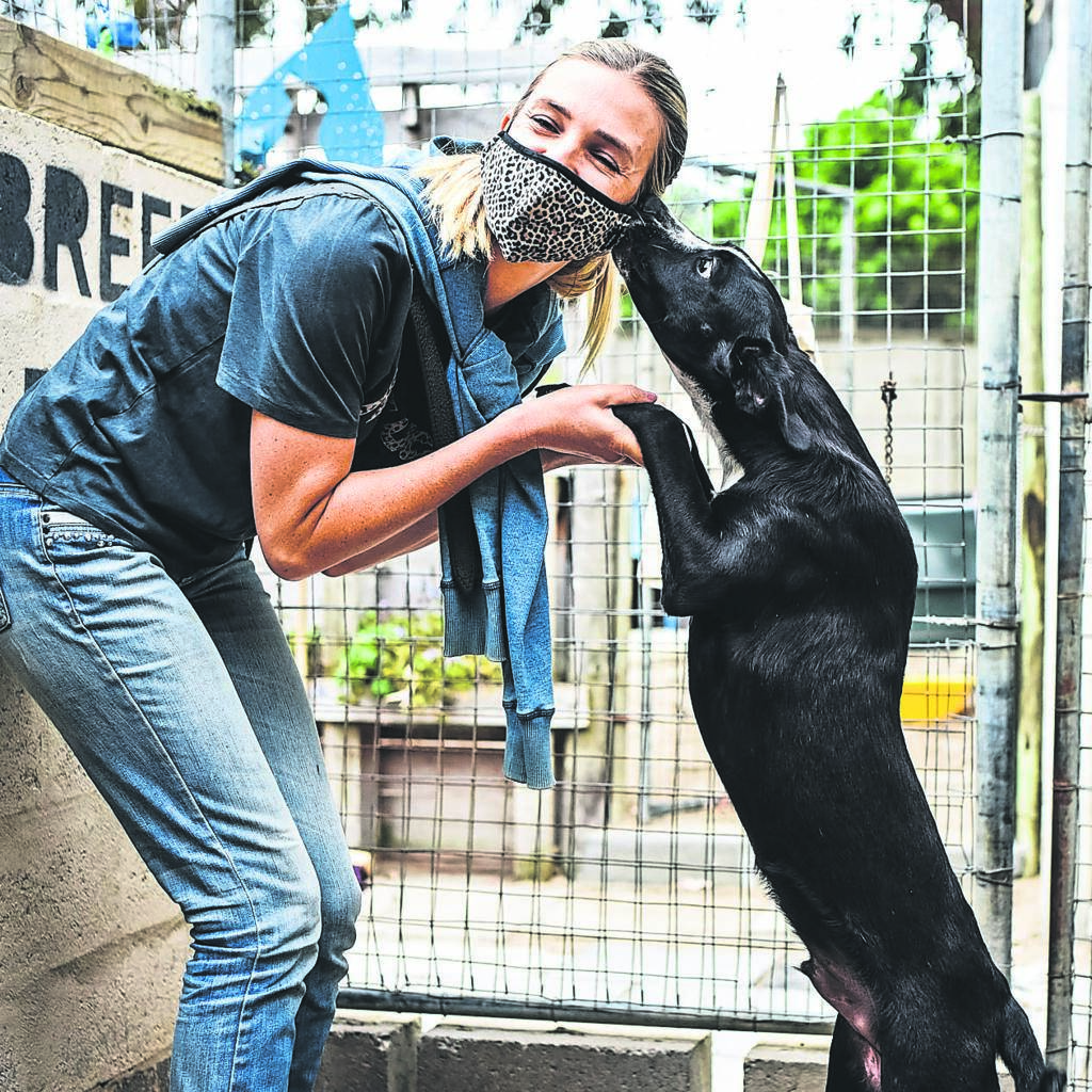 Snoozers are in for a truly ‘pawsome’ night | News24