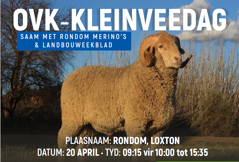 Karoo-boeredag: Oplossings vir vuisvoos rooivleis- en veselboere | Landbou