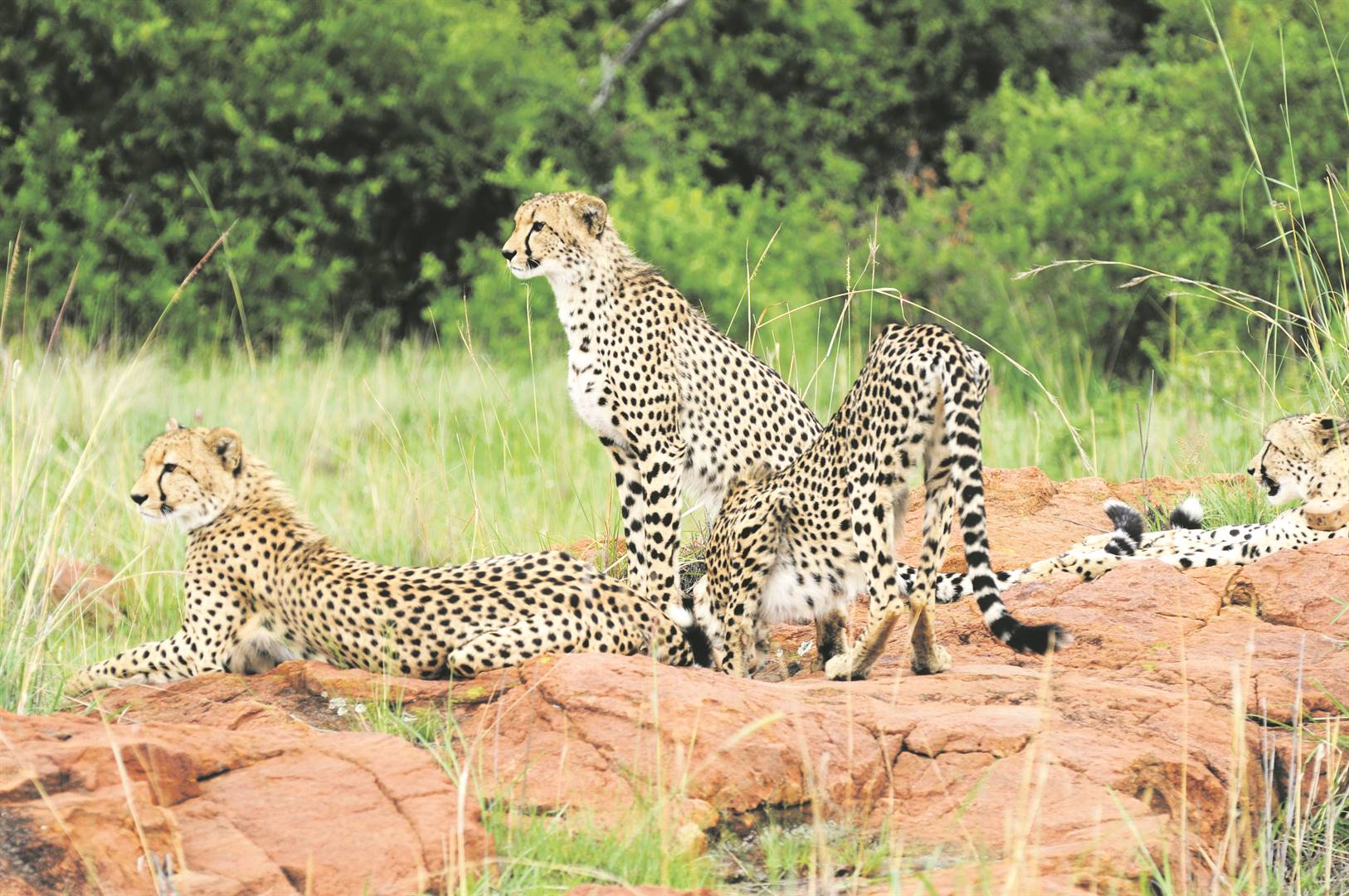Laat jou siel sweef by mooie Mongena | Netwerk24