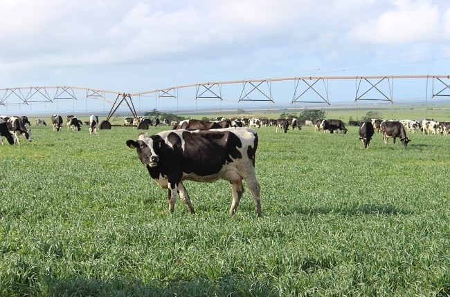 Bek-en-klouseer: Oos-Kaapse melkplase ent nou voorkomend in | Landbou