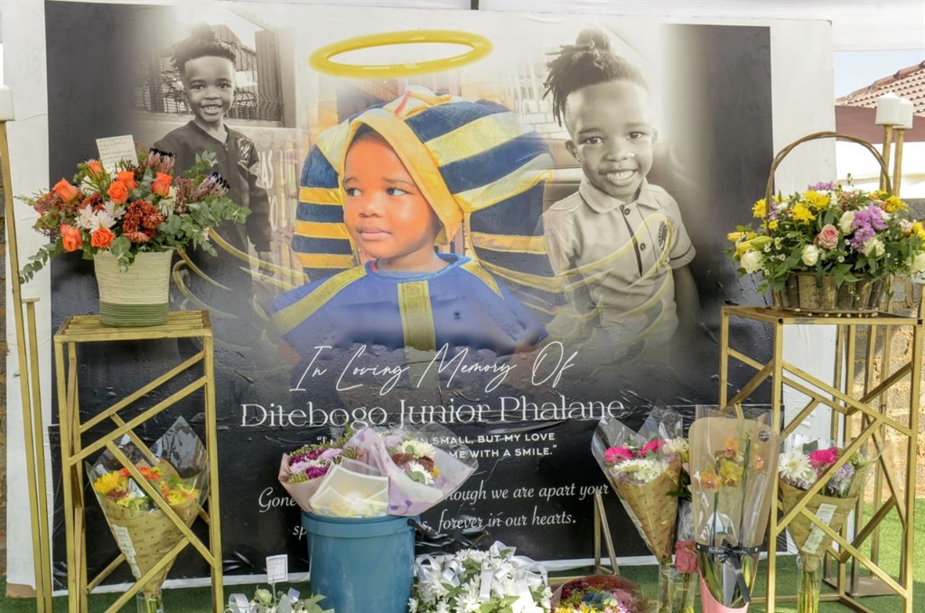 Ditebogo Junior: 'More people need to pay for this' | Daily Sun