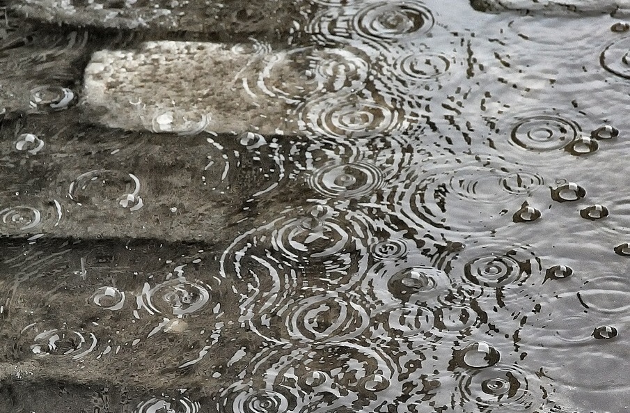 Many affected as excessive rain causes havoc in Kouga | News24
