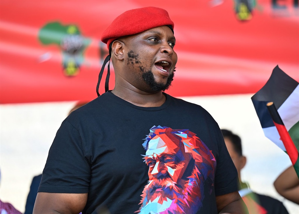 EFF disrupts first Parly sitting! | Daily Sun