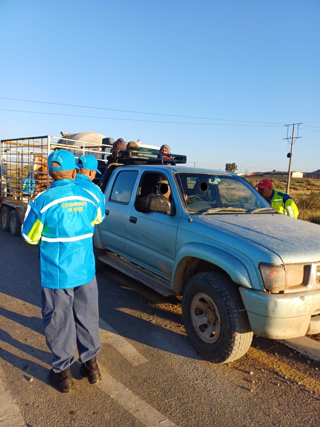 PICS: Operation Shanela strikes hard! | Daily Sun