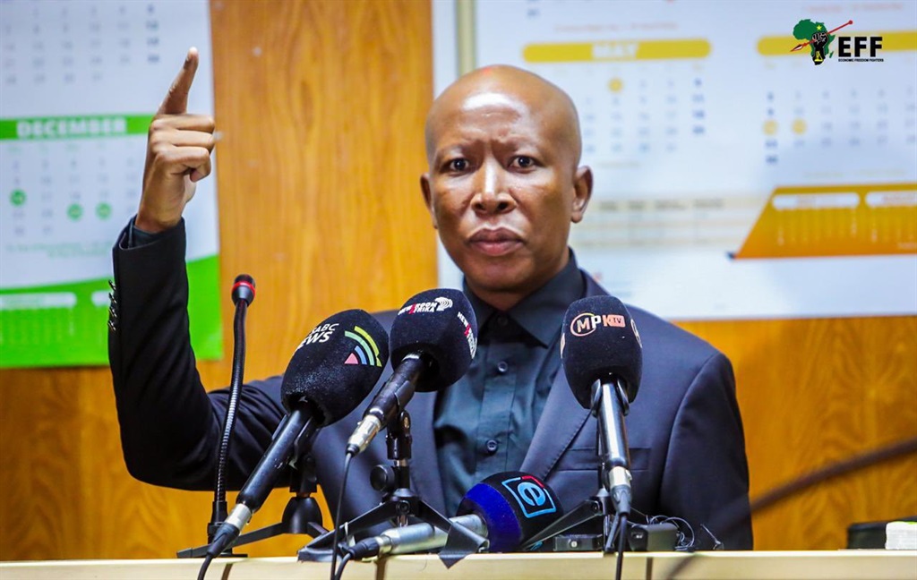 Malema to prosecutor: Mind your own business! | Daily Sun