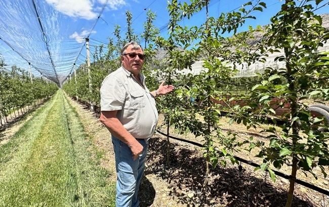 ‘Vrugtepionier’ van Witzenbergvallei sterf | Landbou