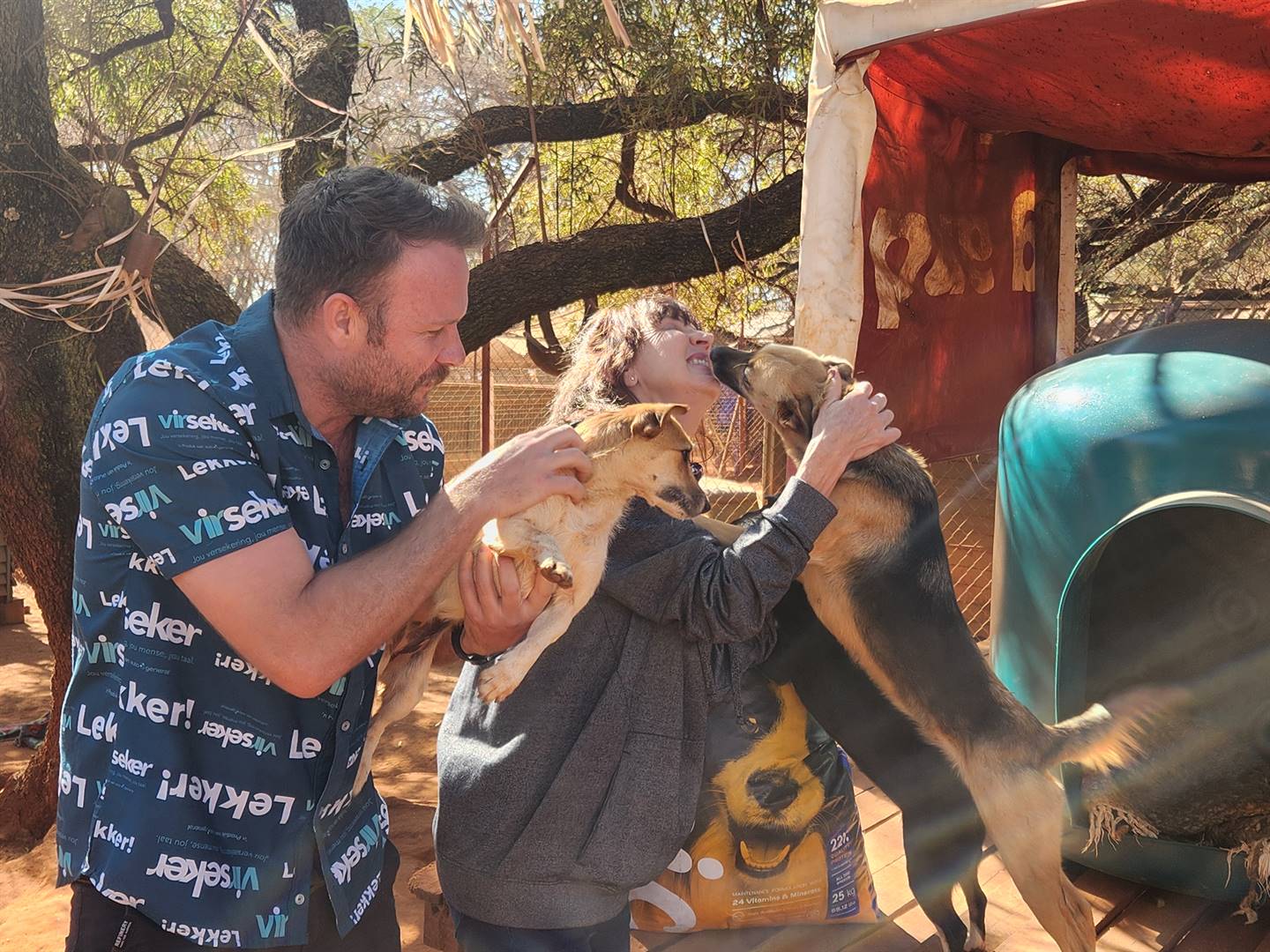 Hammie laai kos én liefde by Wollies-diereskuiling in Pta af | Netwerk24