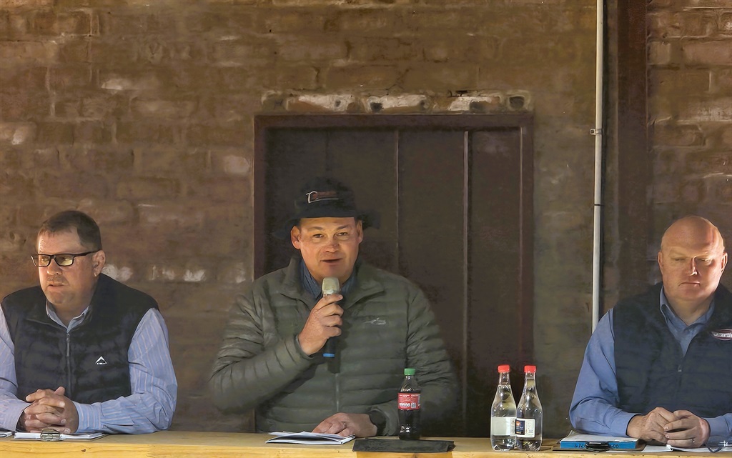 KYK | Bewese bloedlyne gee deurslag op Schyff Beefmasters se veiling ...