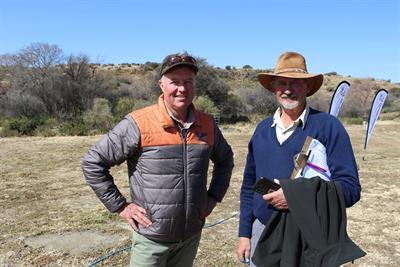 Goeie produksieveiling vir Valley-Afrika Droughtmaster-stoetery | Landbou