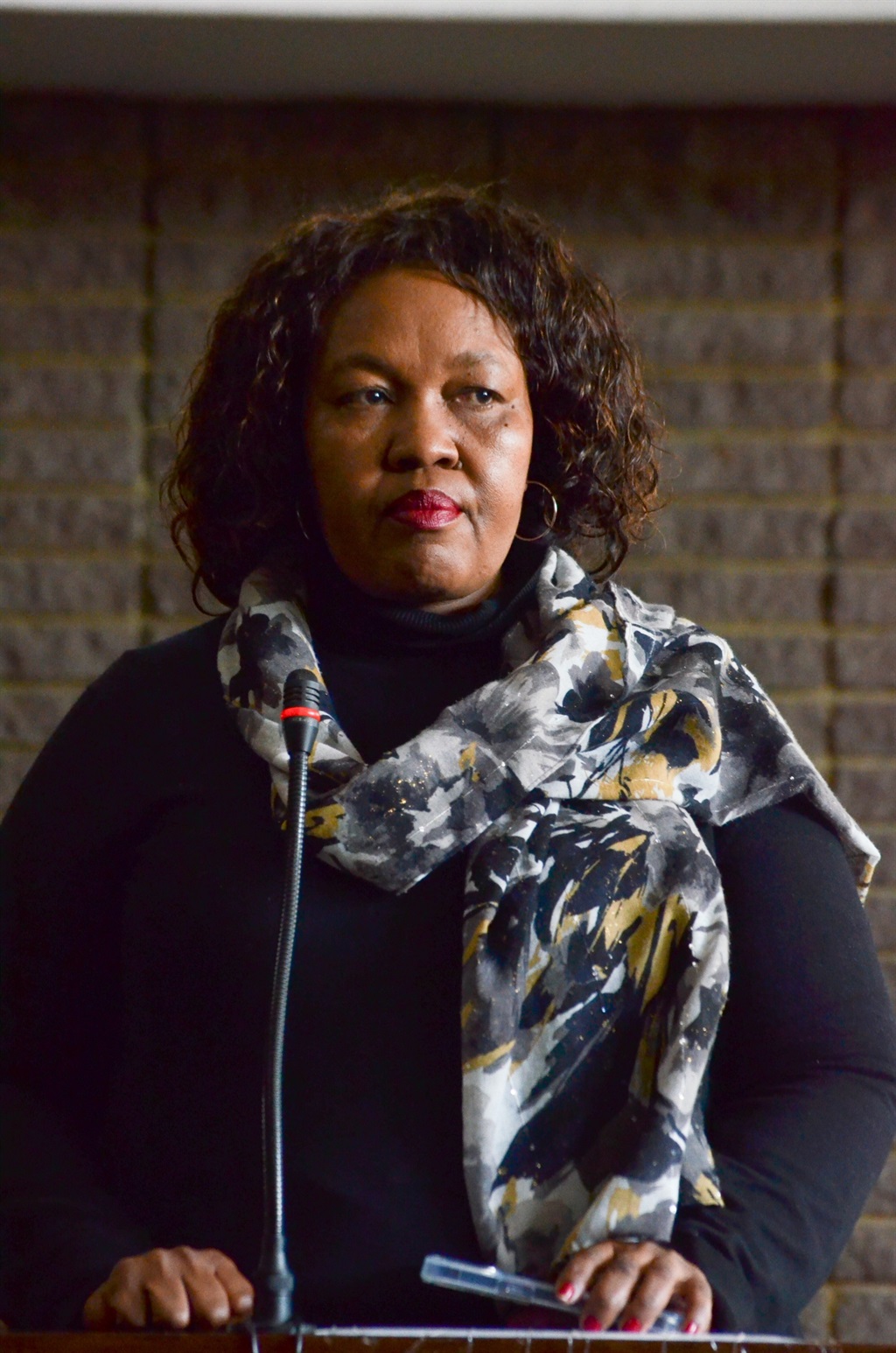 Theft case against EFF leader delayed | Daily Sun
