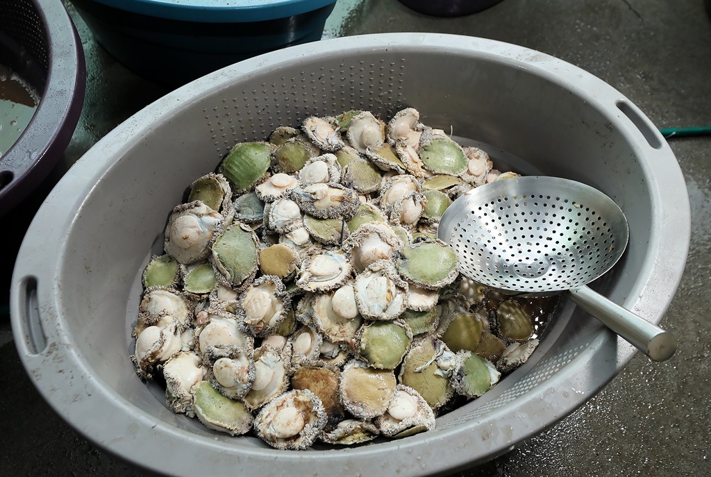Police net three following mass abalone bust in Rylands industrial area ...
