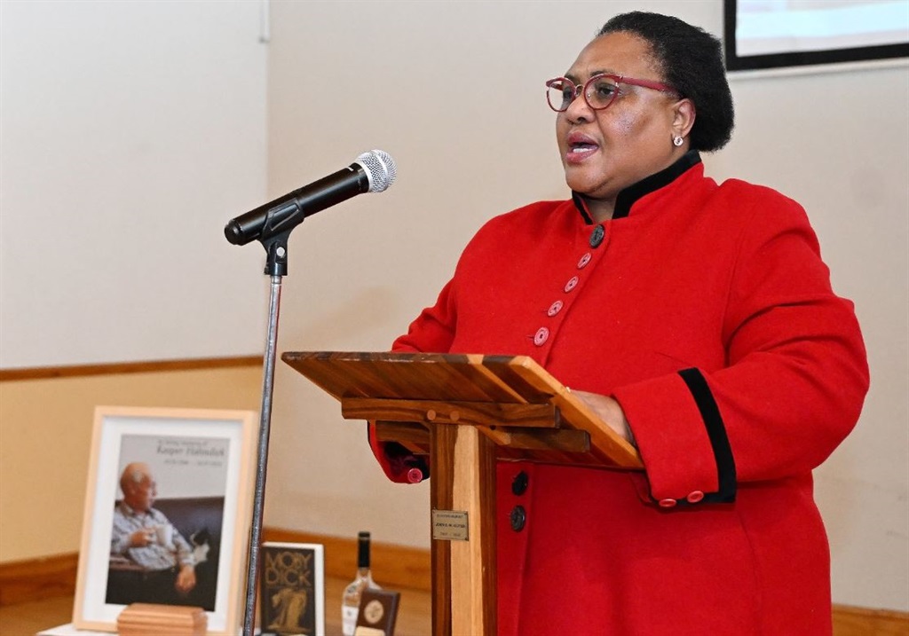 Didiza defends Parly on Hlophe's decision! | Daily Sun