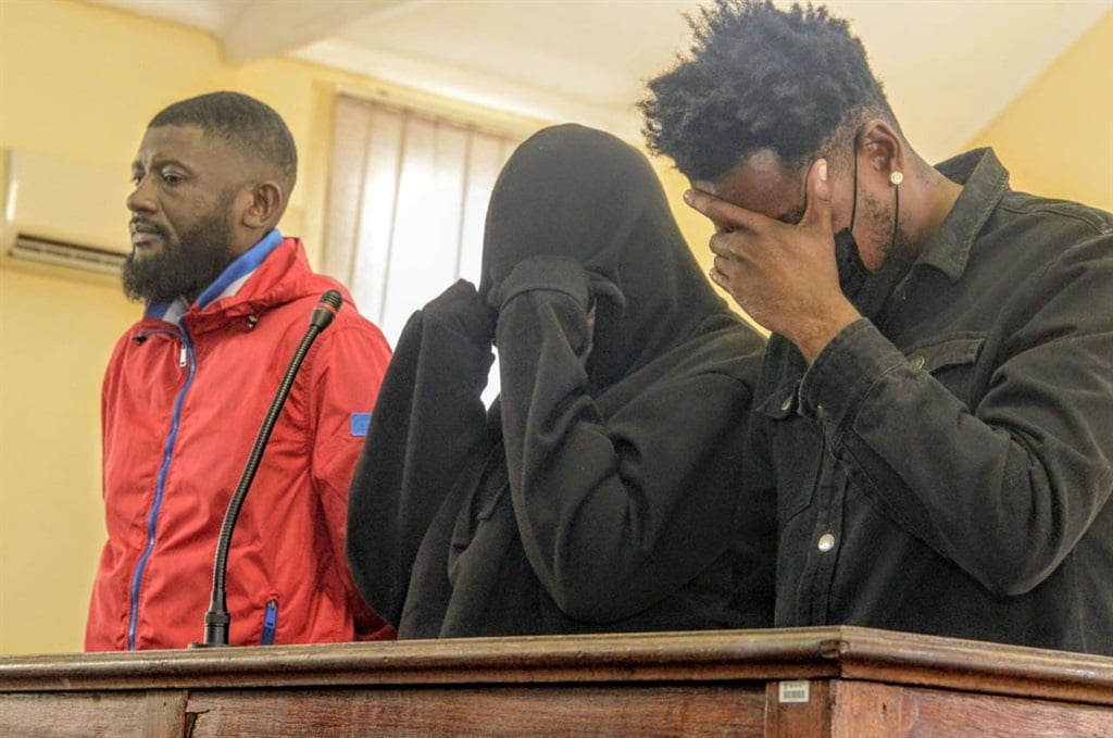Court puts brakes on Phala Phala case | Daily Sun